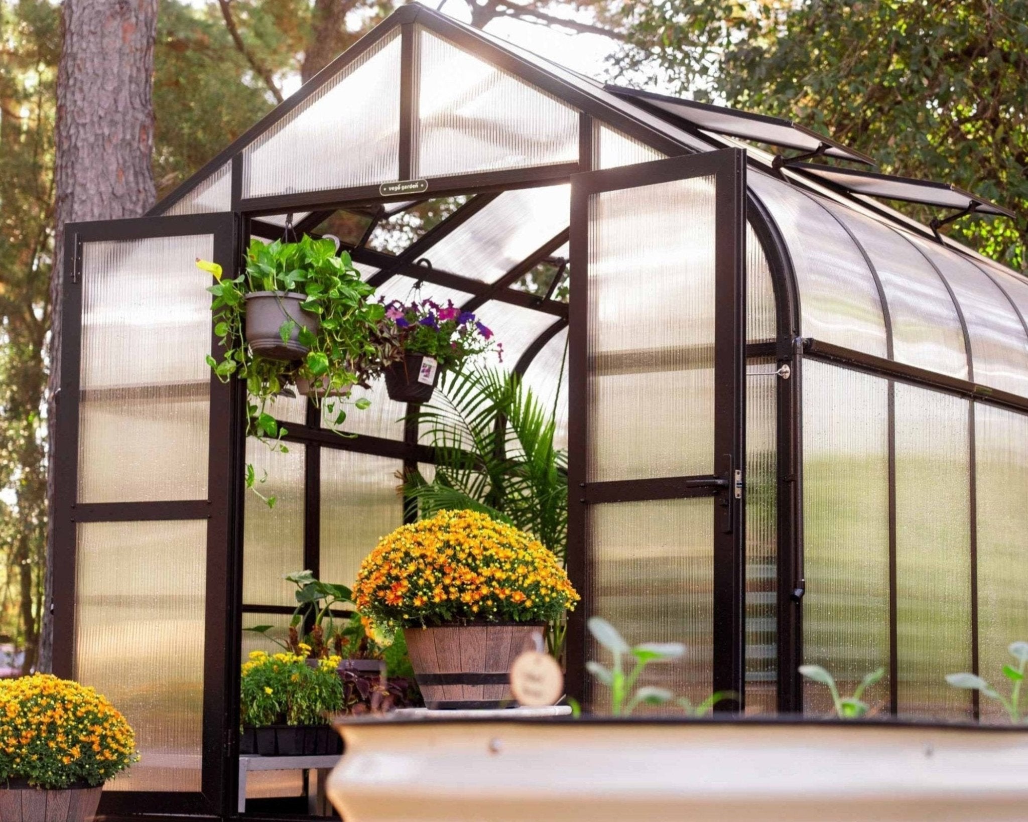 Early Spring Savings – Team Grow