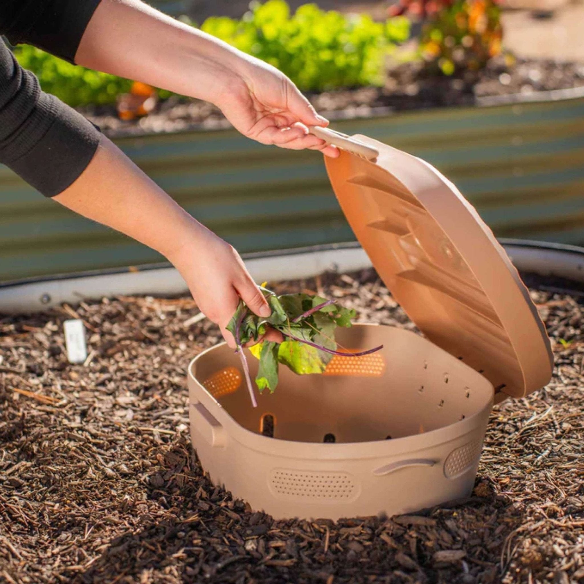 Outdoor Composting – Team Grow