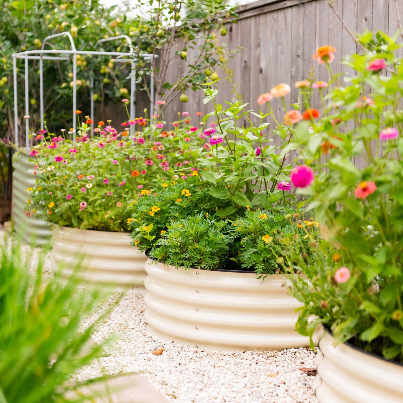 Build a Raised Bed in a Tote: Free Container Gardening at its Best ...