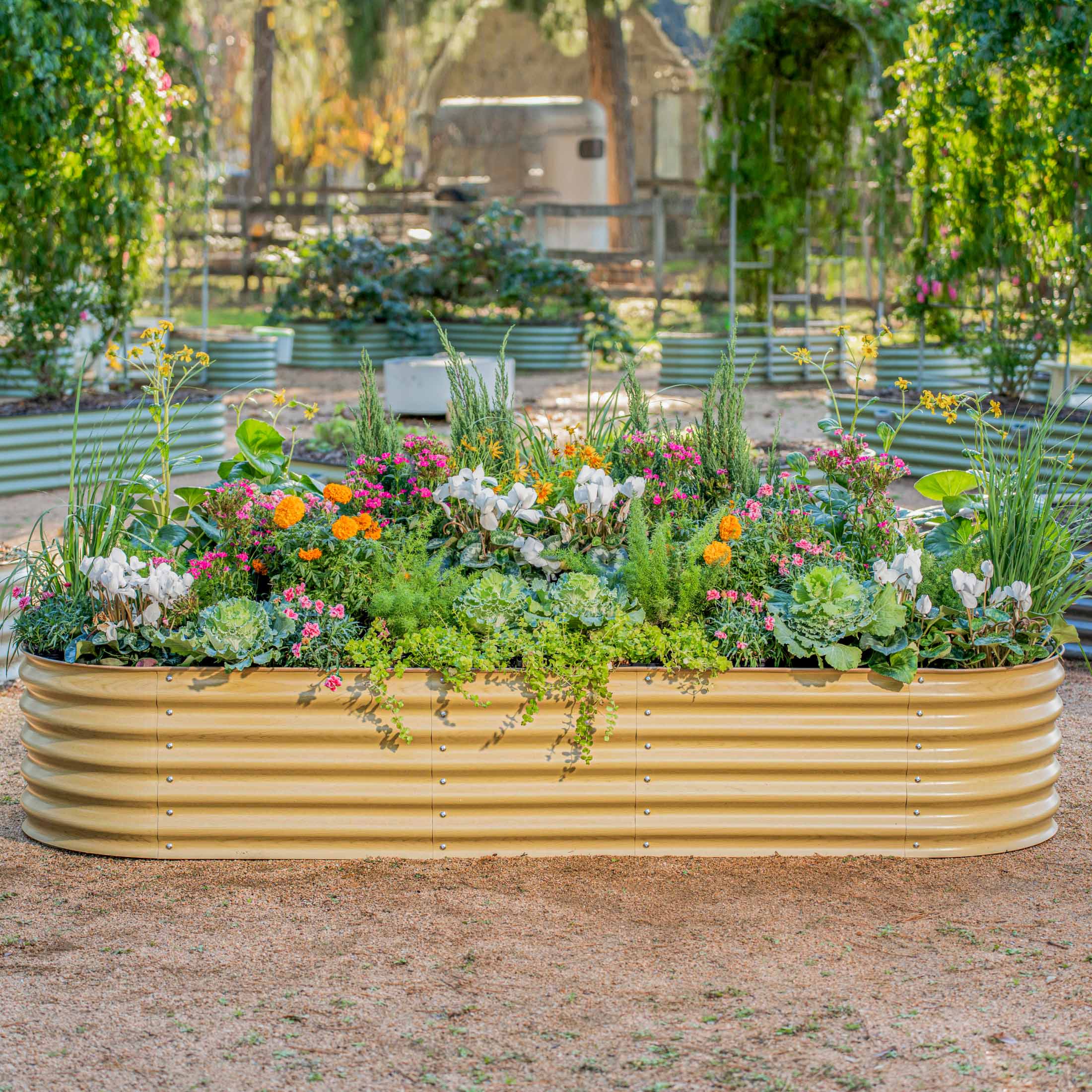 Jumbo Garden Beds – Team Grow