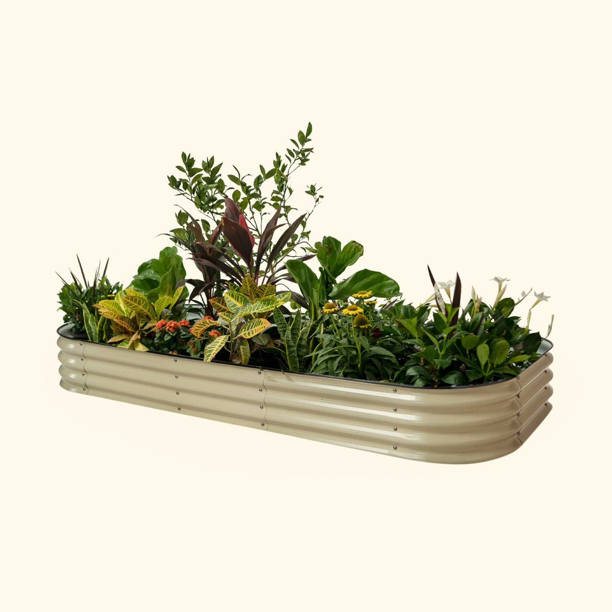 Team Grow: Home Gardening Made Easy & Pesticide-Free